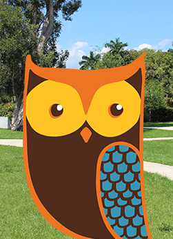 Nevil's Guide to Joy – AWAKE Chocolate